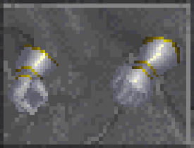 Chain Gauntlets (Daggerfall) | Elder Scrolls | Fandom