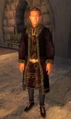 grey fox oblivion bug