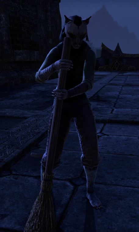 Duzi | Wiki The Elder Scrolls | Fandom