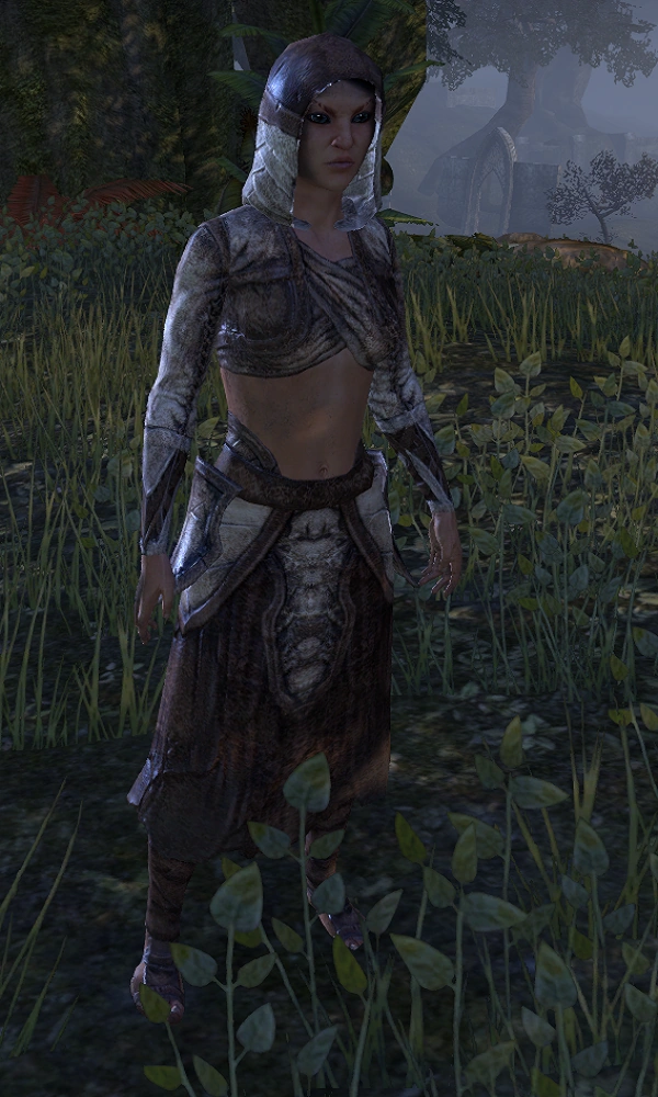 Eralin | Elder Scrolls | Fandom