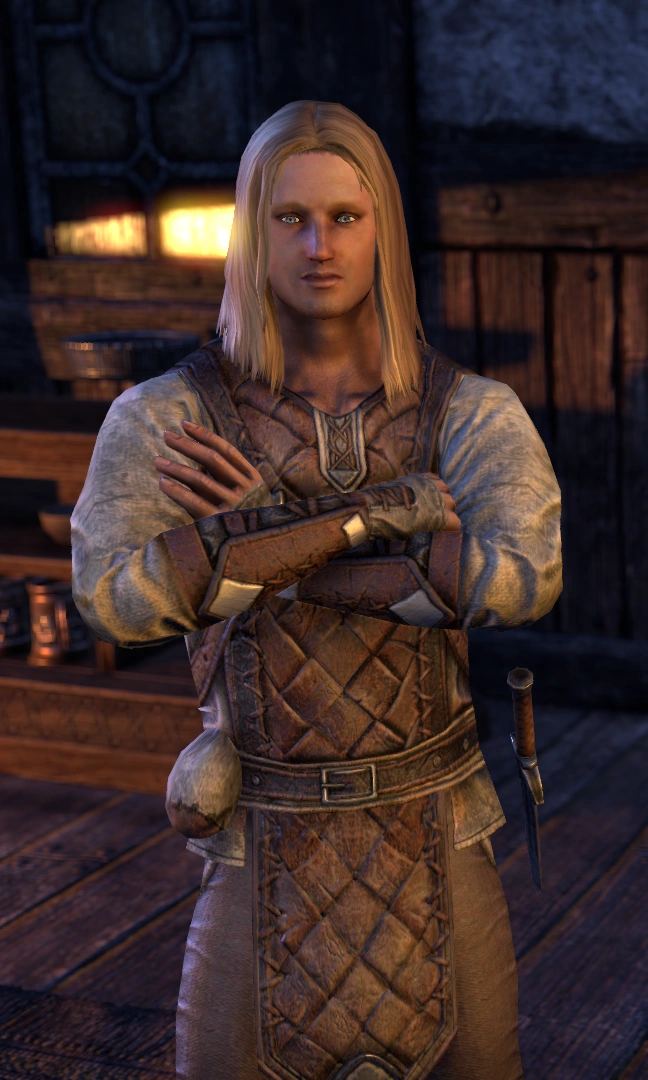 Gelvin Feldrin | Wiki The Elder Scrolls | Fandom