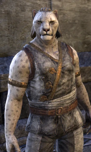 Enik-ja | Wiki The Elder Scrolls | Fandom