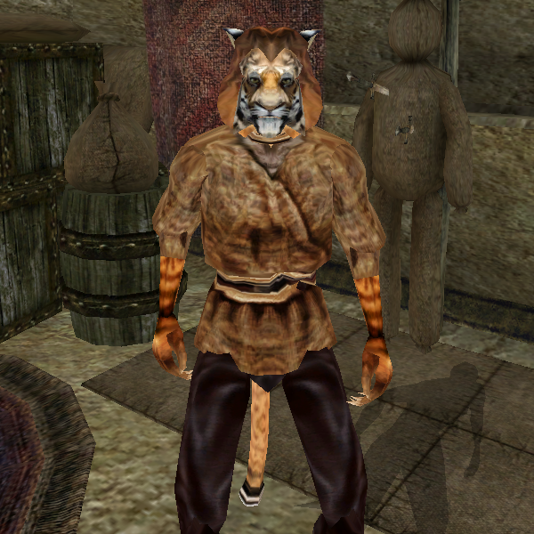 ДроЗахар The Elder Scrolls Wiki Fandom