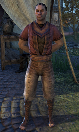 Aizar | Elder Scrolls | Fandom