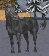Horse (Daggerfall) | Elder Scrolls | Fandom
