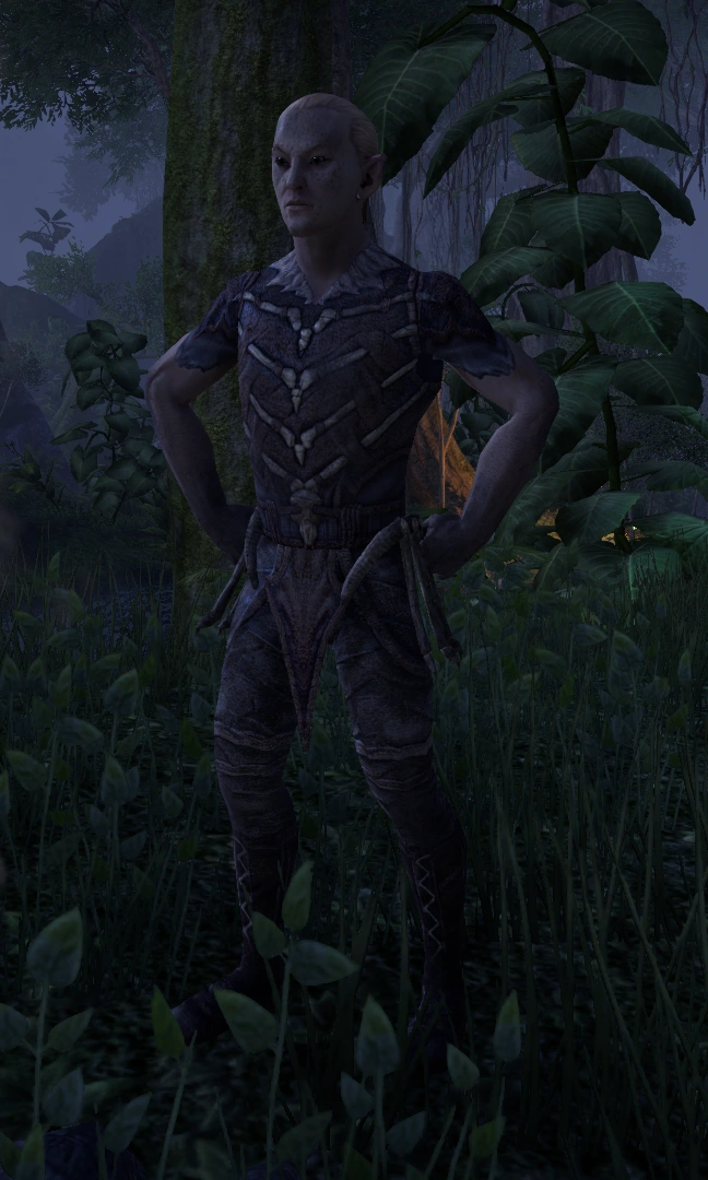 Maenrin | Wiki The Elder Scrolls | Fandom