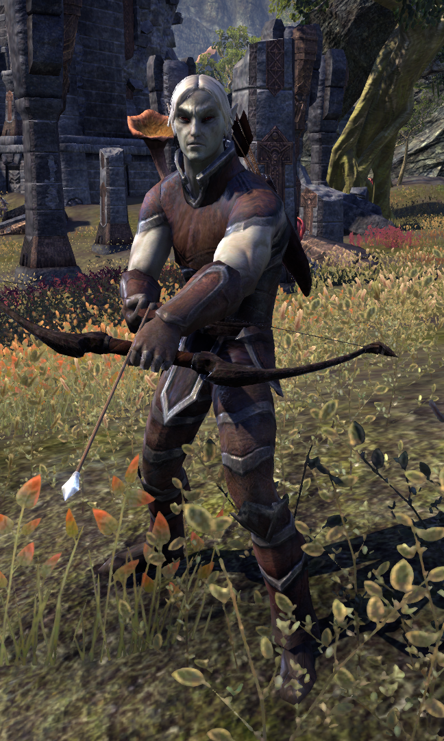 Traqueur Drès Wiki The Elder Scrolls Fandom
