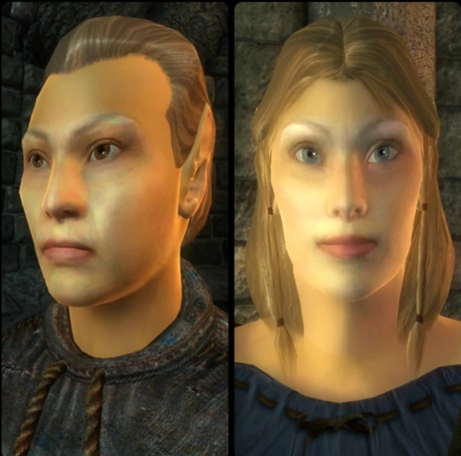 Altmer (Oblivion) | The Elder Scrolls Wiki | Fandom