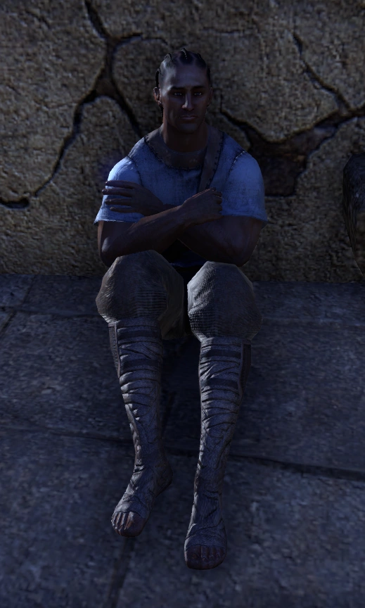 Darwish | Wiki The Elder Scrolls | Fandom