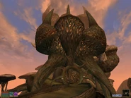 Tel Branora (Morrowind) | Elder Scrolls | Fandom