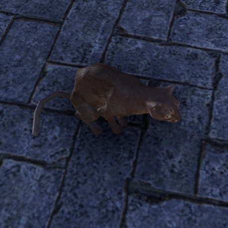 Bethamez (Chat) | Wiki The Elder Scrolls | Fandom