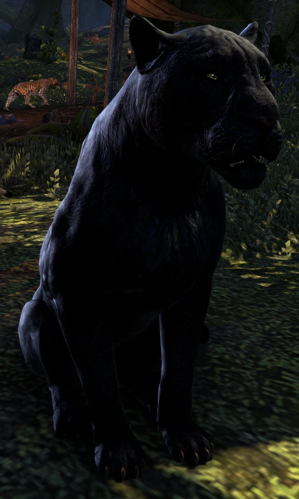 Lazum-dar | Elder Scrolls | Fandom