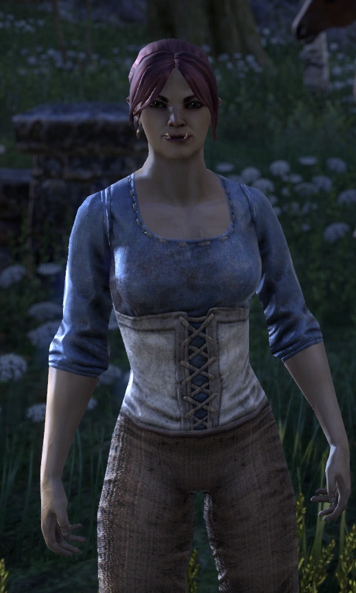 Bazgara | Wiki The Elder Scrolls | Fandom