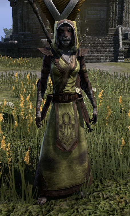 Dominion Mender Elder Scrolls Fandom