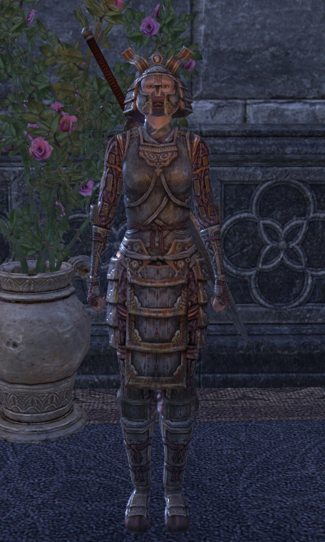 Fighters Guild Defender Elder Scrolls Fandom