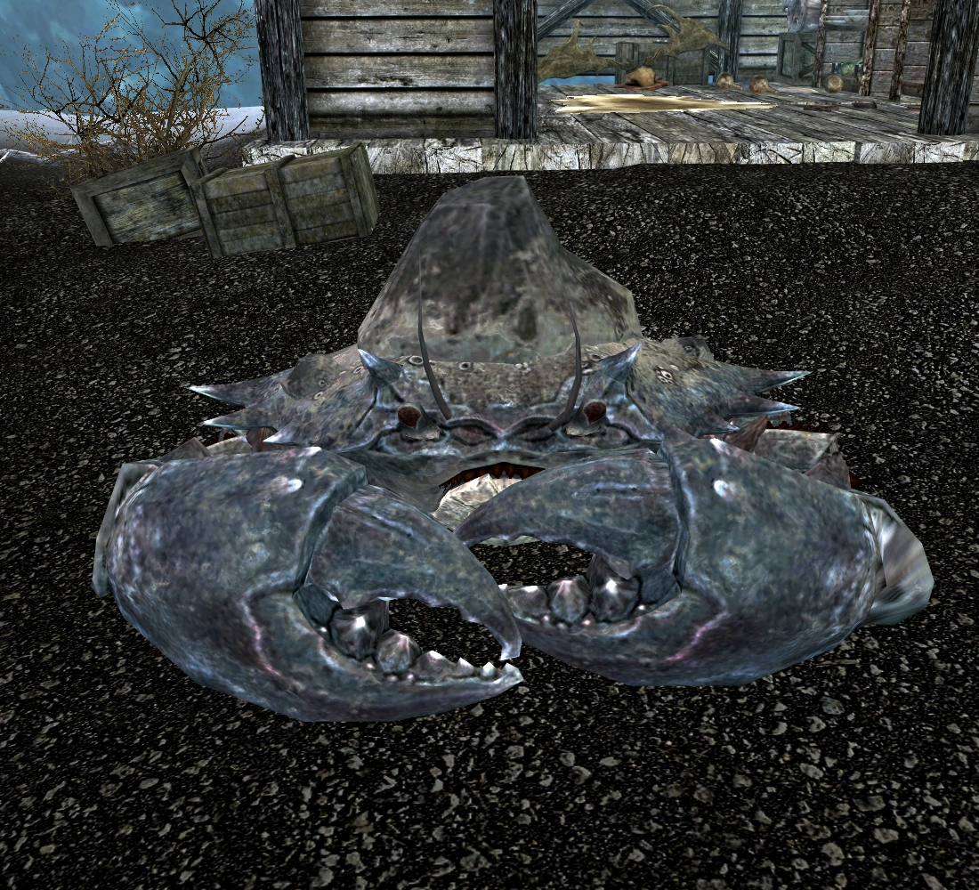 Old Salty | Elder Scrolls | Fandom