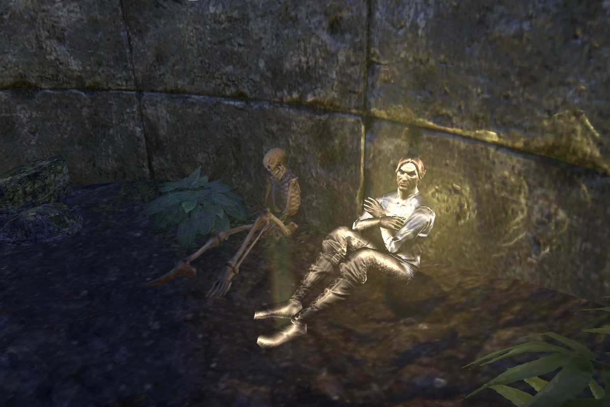 The Jester's Joke | Elder Scrolls | Fandom
