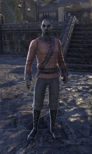 Falen Gilenim | Elder Scrolls | Fandom