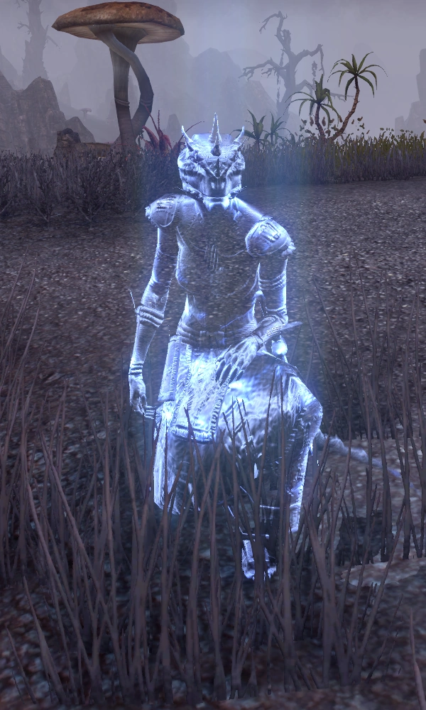 Category:Online: Starved Plain Characters | Elder Scrolls | Fandom