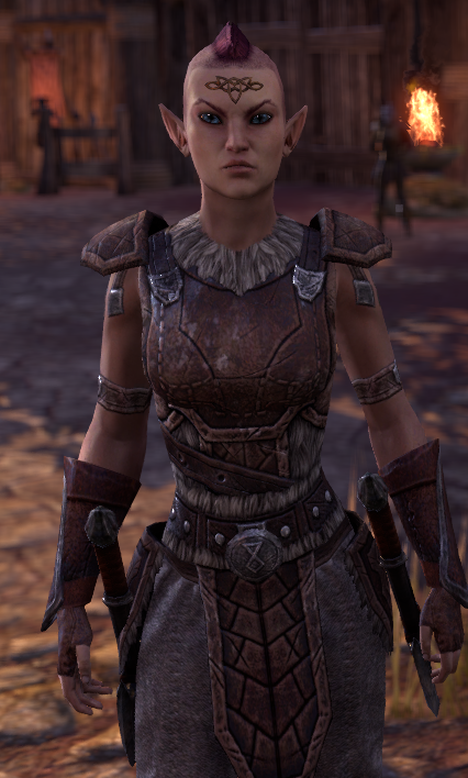 Maître Darmes Combattant Wiki The Elder Scrolls Fandom