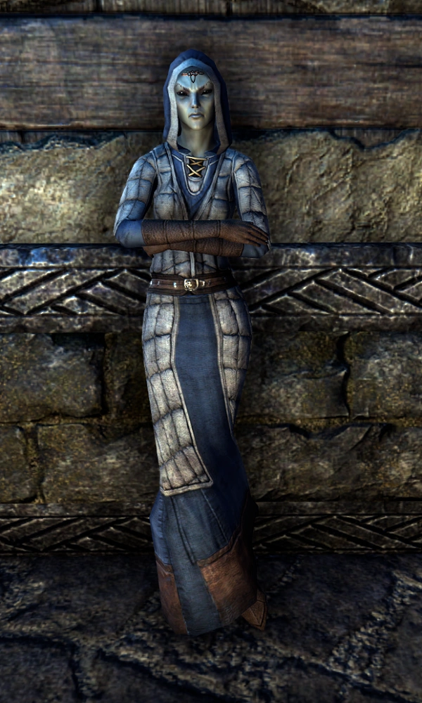 Nendrii Dreloth | Elder Scrolls | Fandom