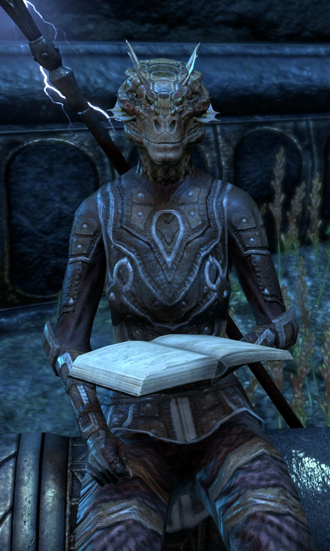 Odeel-Medul | Wiki The Elder Scrolls | Fandom