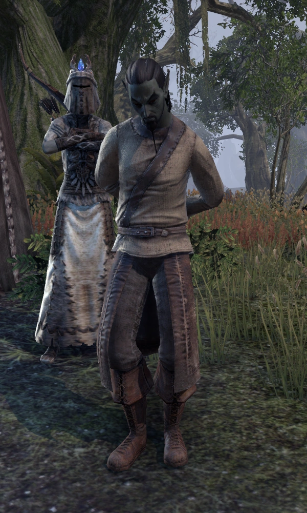 Raston Vendil | Elder Scrolls | Fandom