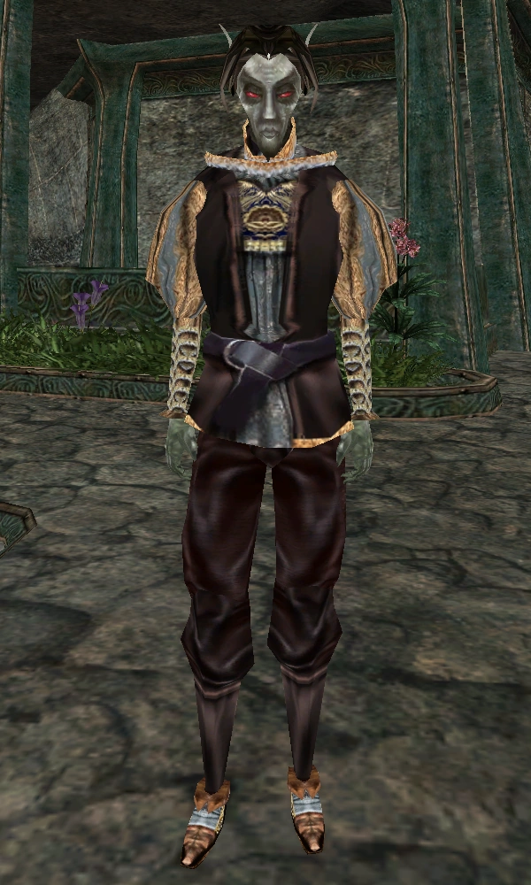 Taren Andoren | Elder Scrolls | Fandom