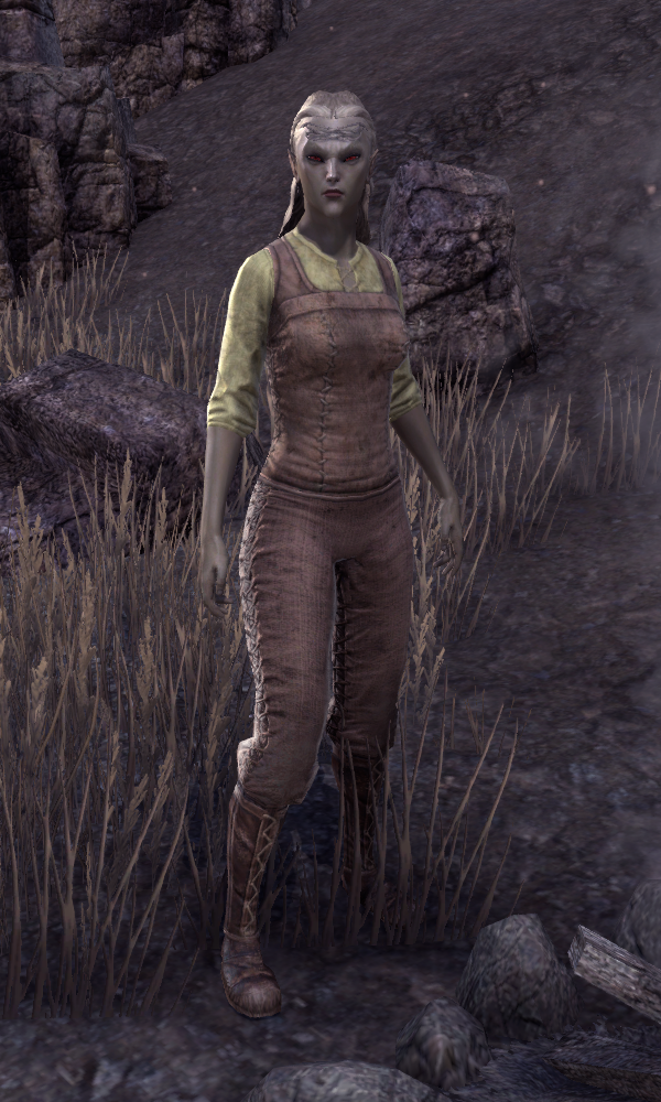 Ervyla Hlaalu | Elder Scrolls | Fandom Ervyla Hlaalu | Elder Scrolls | Fandom