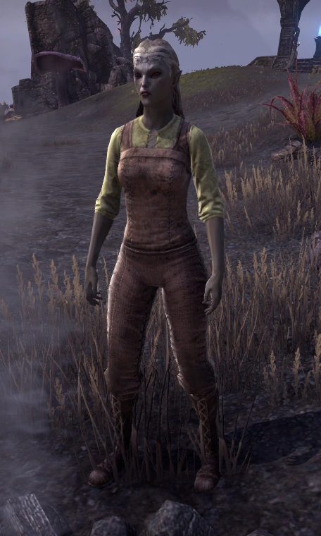 Ervyla Hlaalu | Wiki The Elder Scrolls | Fandom