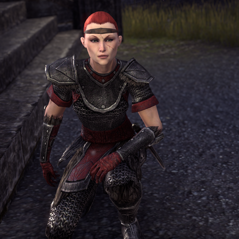 Сержант Эйла The Elder Scrolls Wiki Fandom