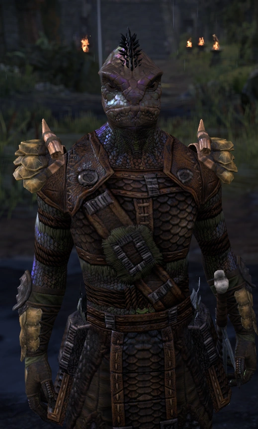 Hameen-Ja | Wiki The Elder Scrolls | Fandom