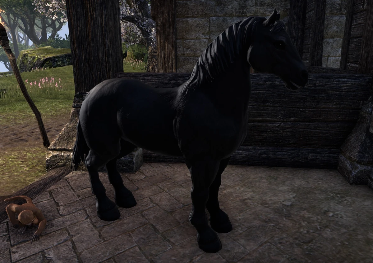 Midnight Steed | Elder Scrolls | Fandom