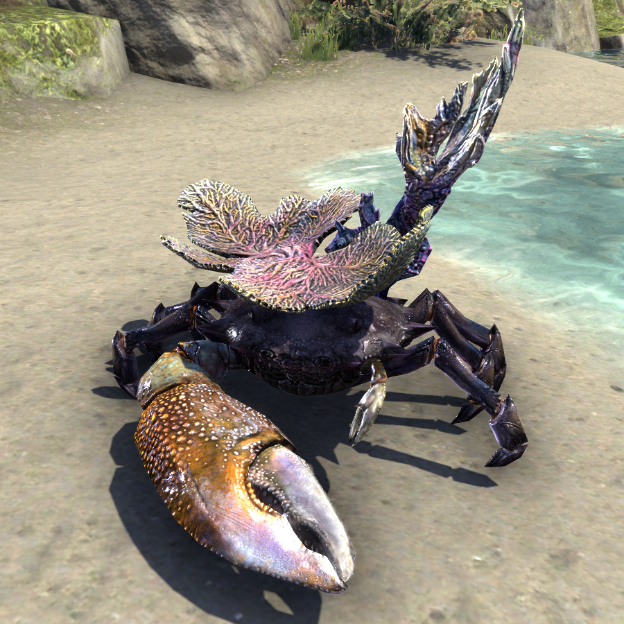 Coral Crab | Elder Scrolls | Fandom