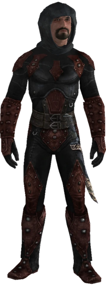 Skyrim Assassin Guild Armor