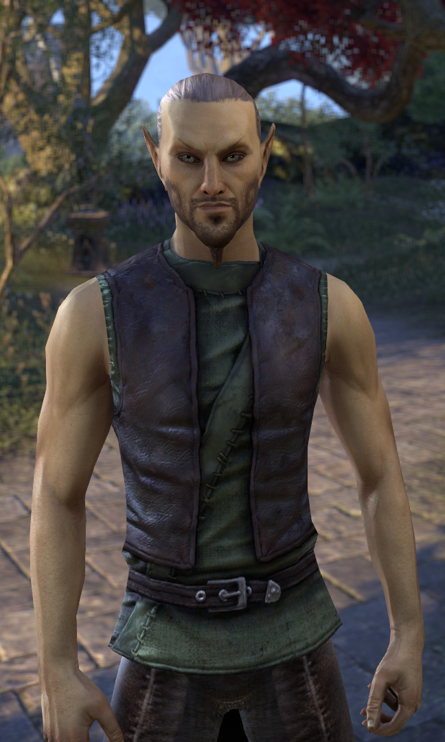 Hendaril Wiki The Elder Scrolls Fandom