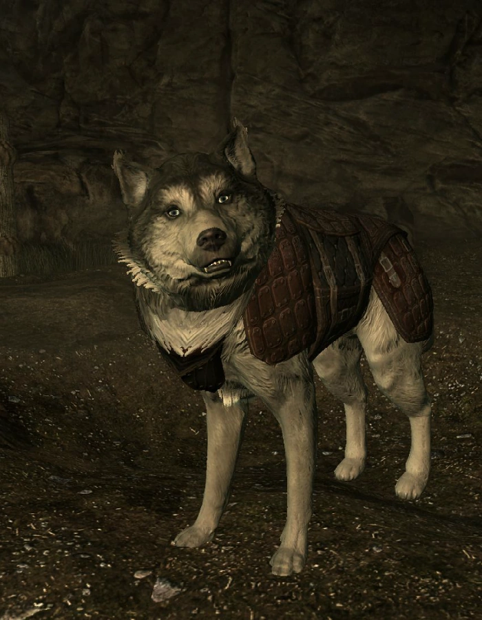 Husky | Elder Scrolls | Fandom
