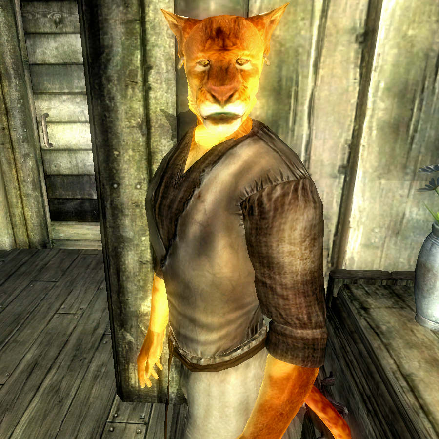 Дрошанджи The Elder Scrolls Wiki Fandom