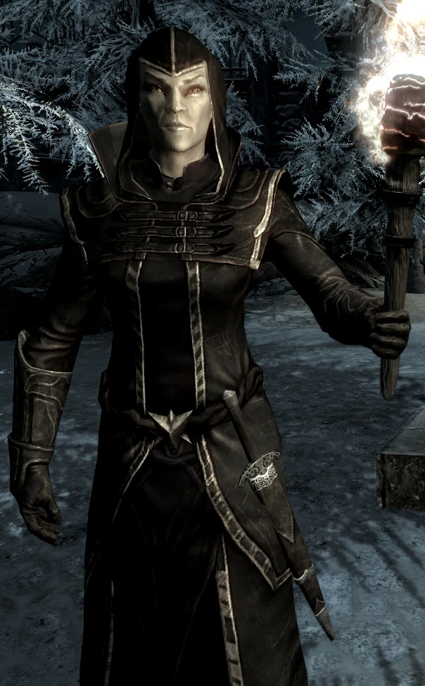 Thalmor (Skyrim) | Elder Scrolls | Fandom