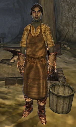 Armor Apprentice | Elder Scrolls | Fandom