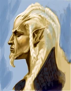 Altmer (Skyrim) | Elder Scrolls | Fandom