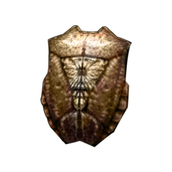 Chitin-Schild (Morrowind) | Elder Scrolls Wiki | Fandom