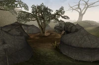 Эшлендеры (Lore) | The Elder Scrolls Wiki | Fandom