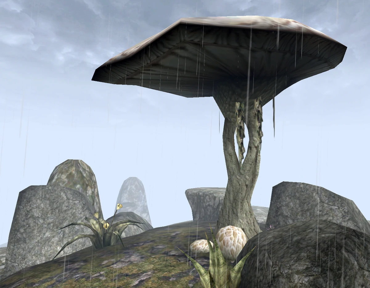 Emperor Parasol | Elder Scrolls | Fandom