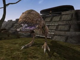 Guar (Morrowind) | Elder Scrolls | Fandom