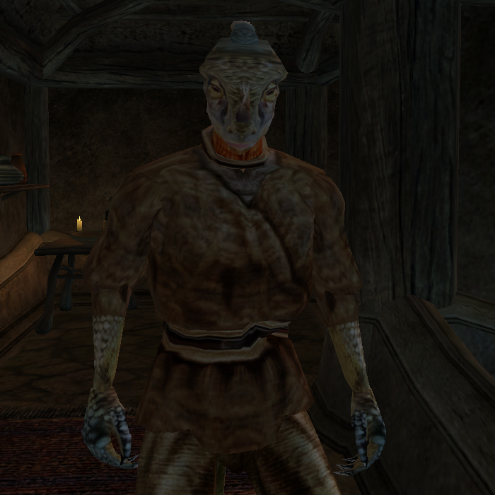 Nueve Dedos Elder Scrolls Fandom