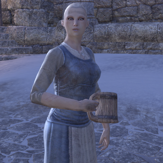 Хольсин Снежная Грива The Elder Scrolls Wiki Fandom