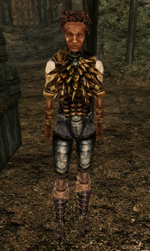 Gwen | Elder Scrolls | Fandom