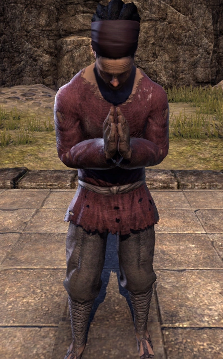 Voix de Stendarr | Wiki The Elder Scrolls | Fandom