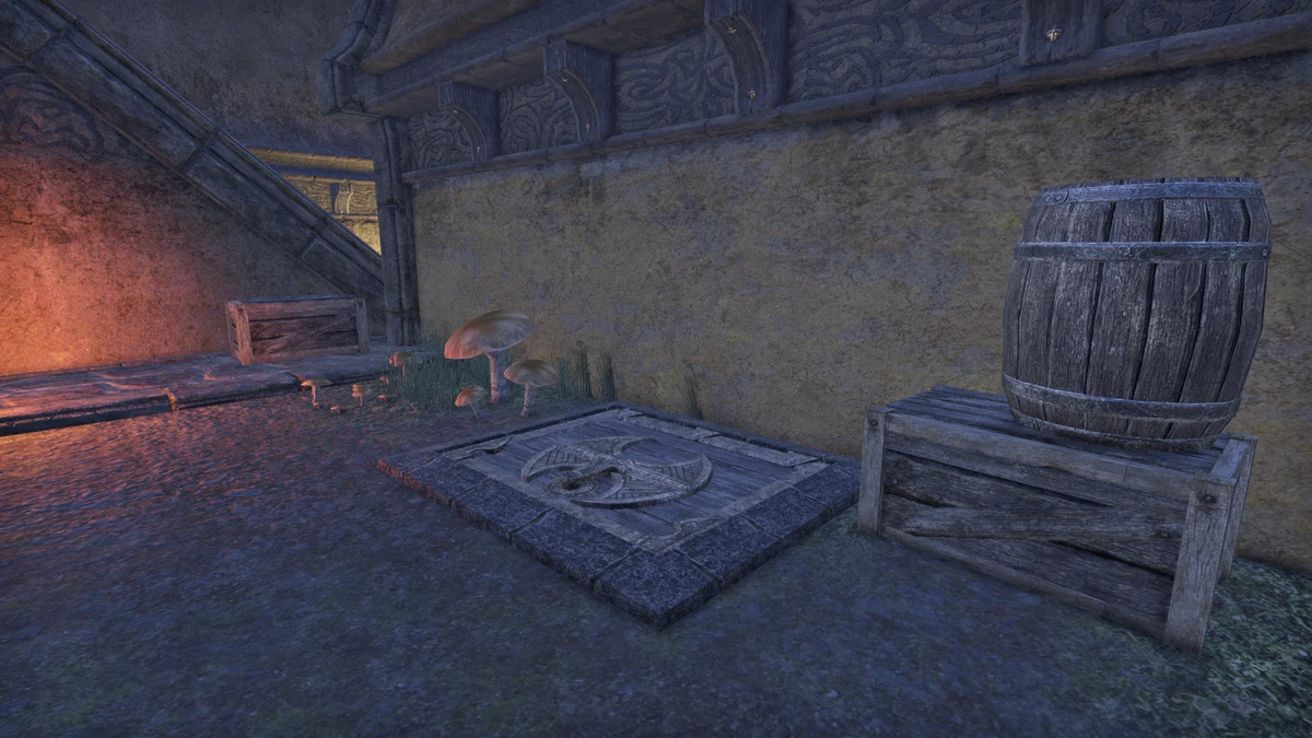 Abandoned Cellar | Elder Scrolls | Fandom